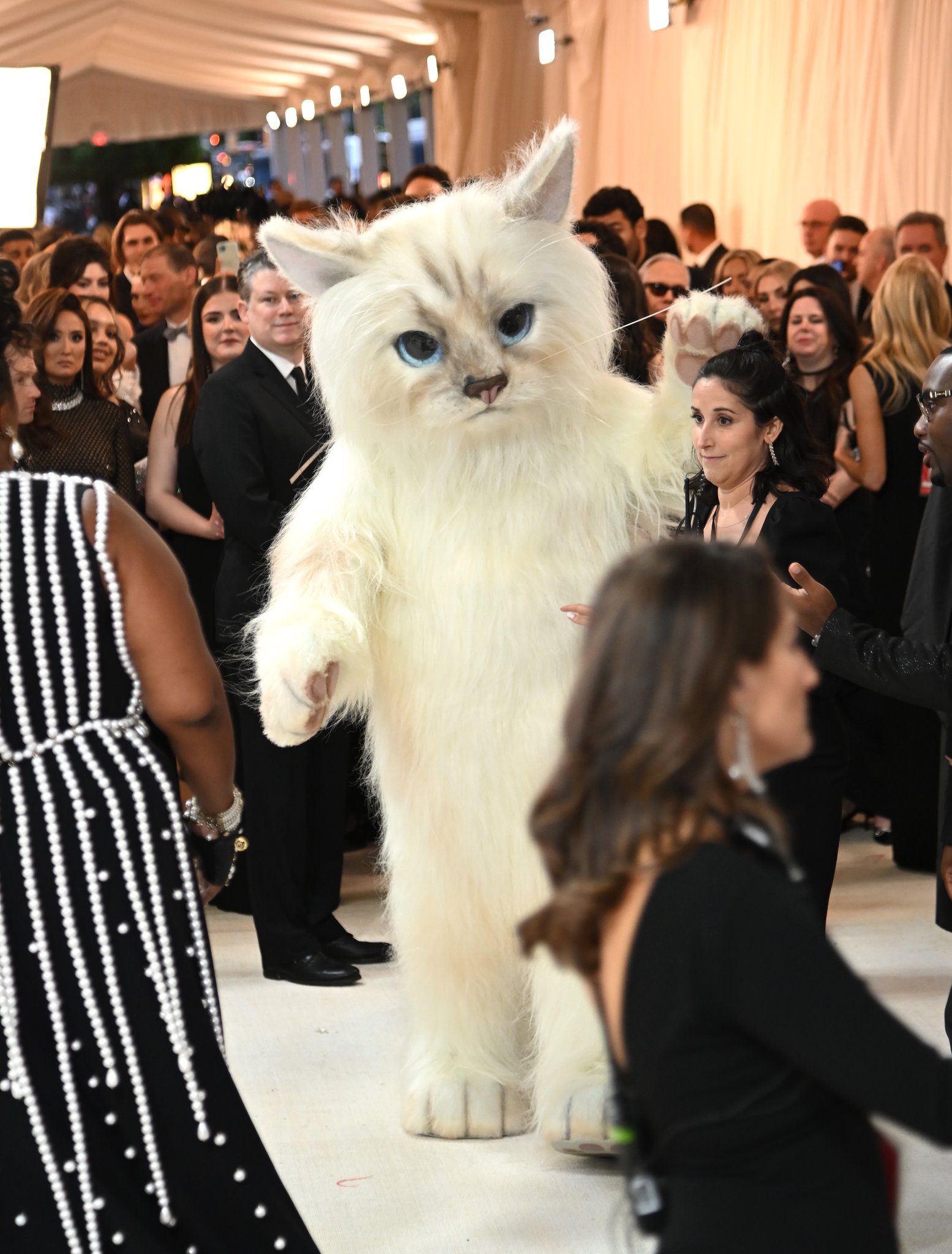 Entertainment Tonight on Twitter: "Jared Leto dressed as Karl Lagerfeld ...