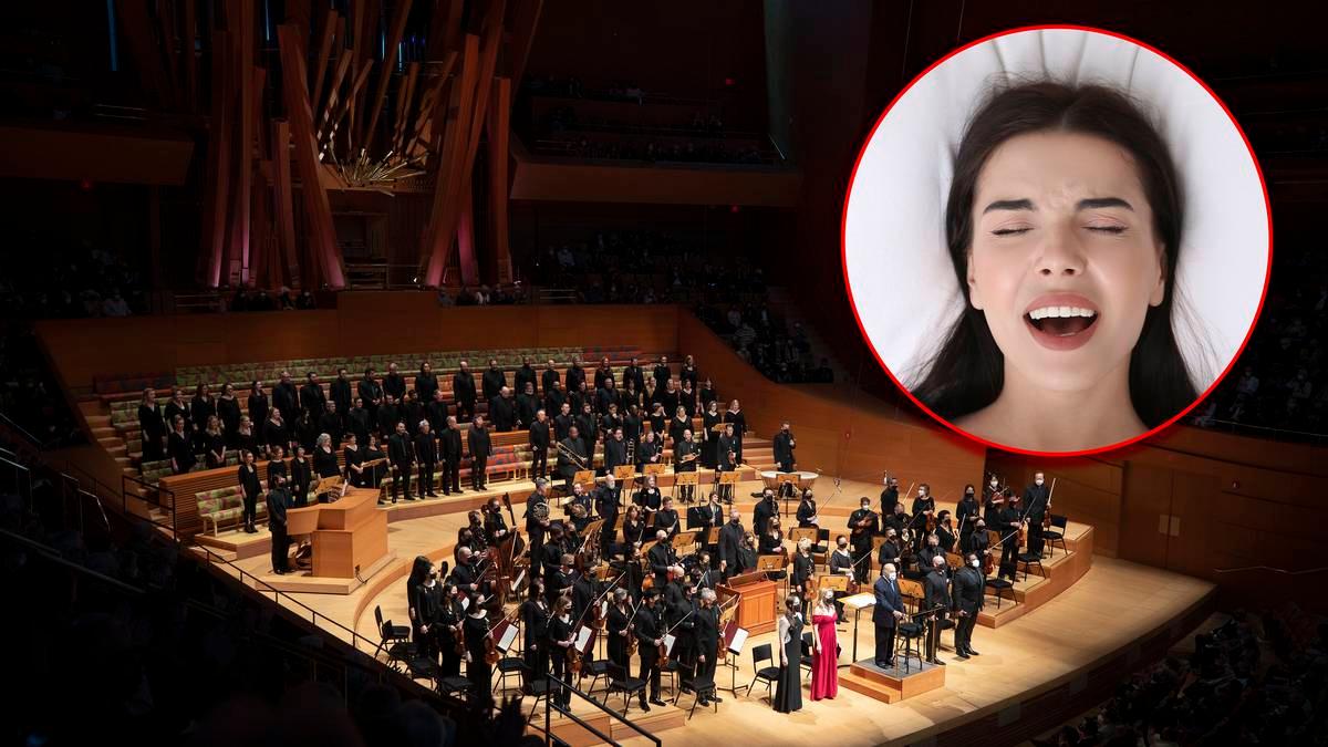 nzherald on Twitter: "The horn section: Woman has 'full body orgasm' during orchestra ...