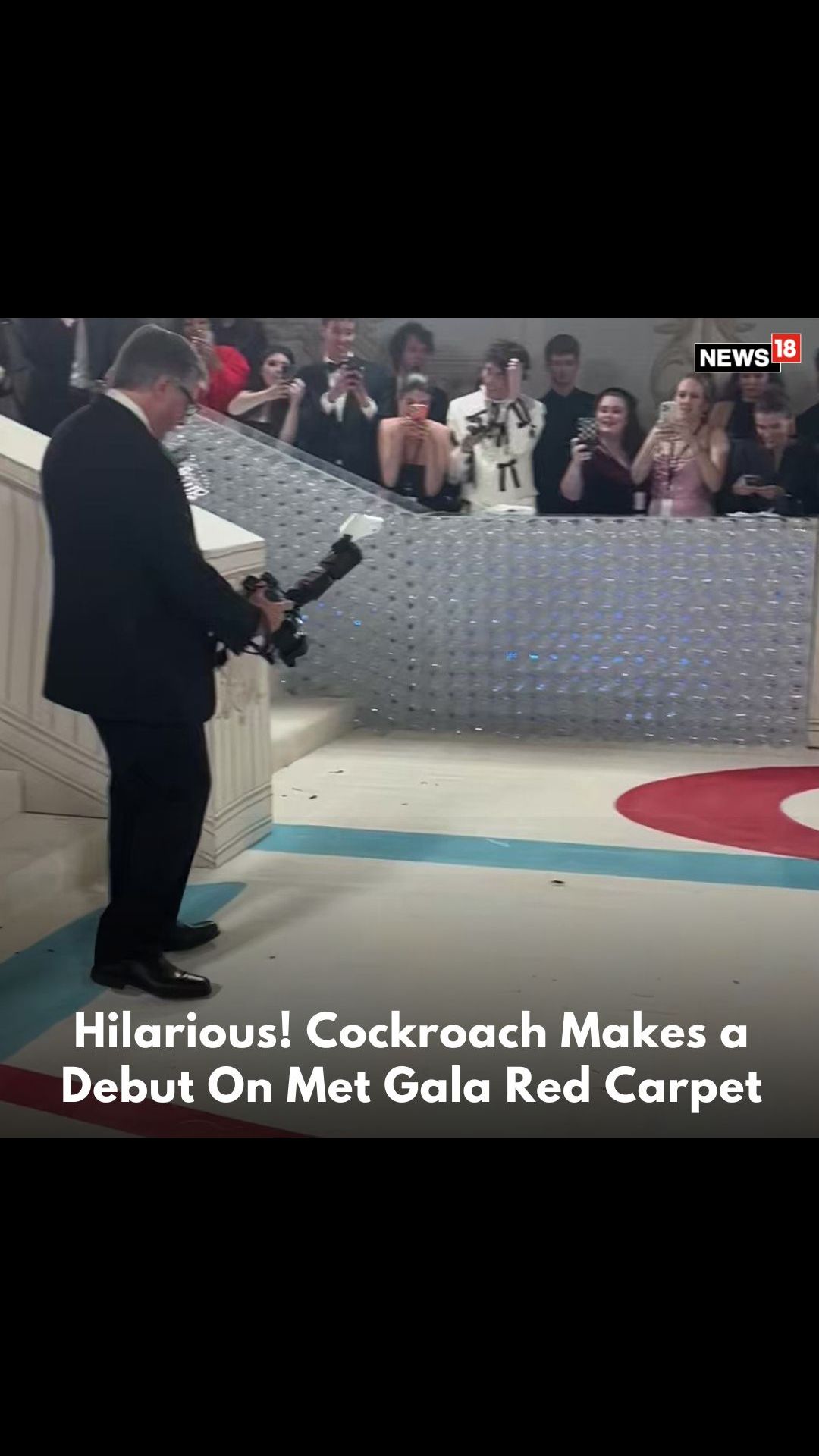 News18 on Twitter: "A video of a cockroach on the Met Gala 2023 red carpet show on Monday went ...