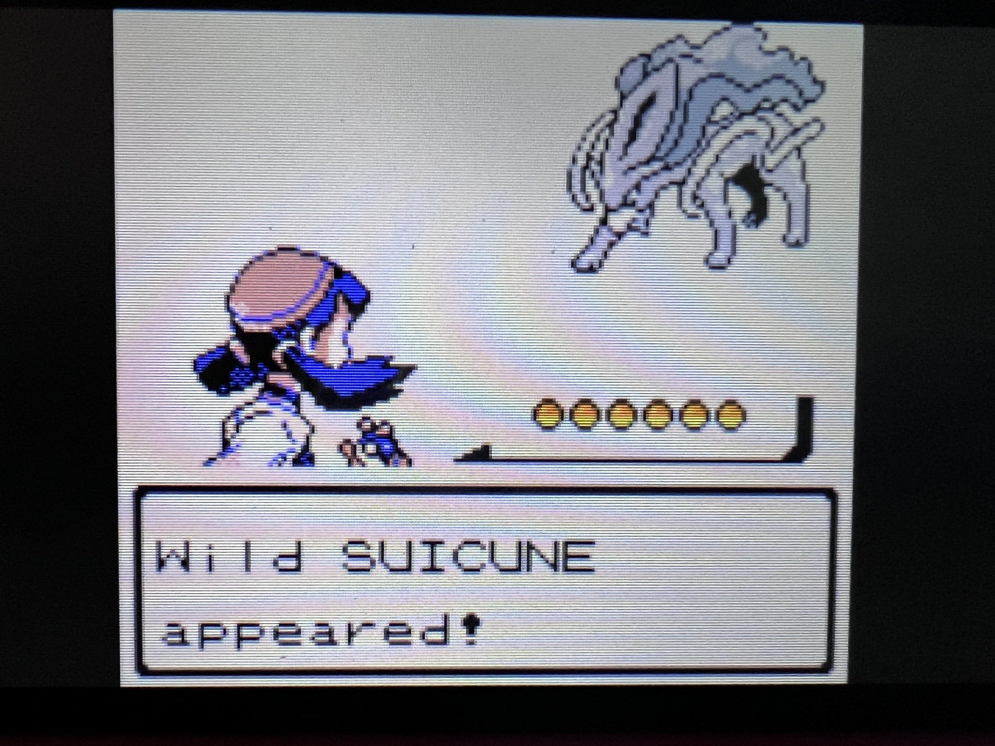 Shiny Suicune Pokemon X