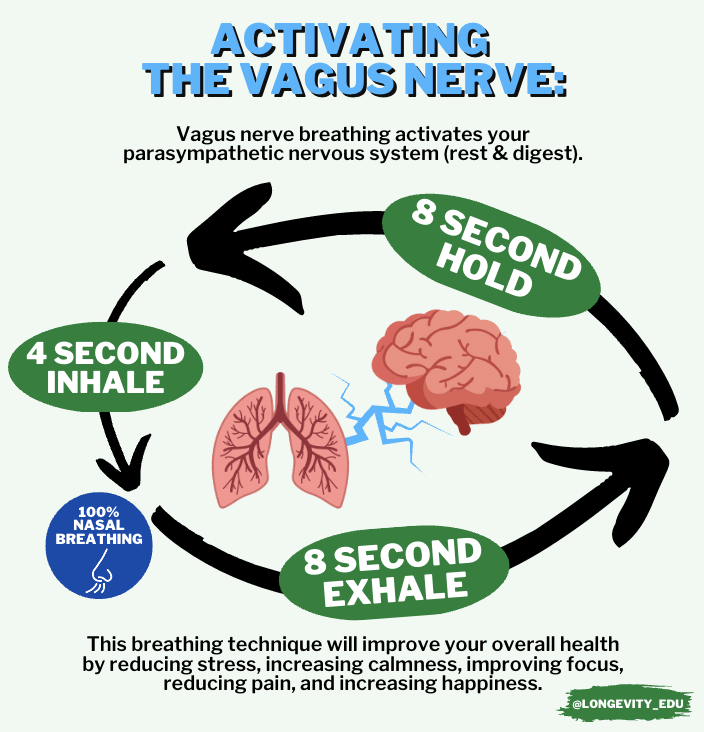 Low oxygen will CRUSH your energy. Here are 3 ways to test & improve ...