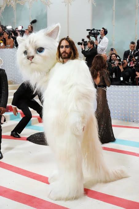 Snowbell Cat Stuart Little