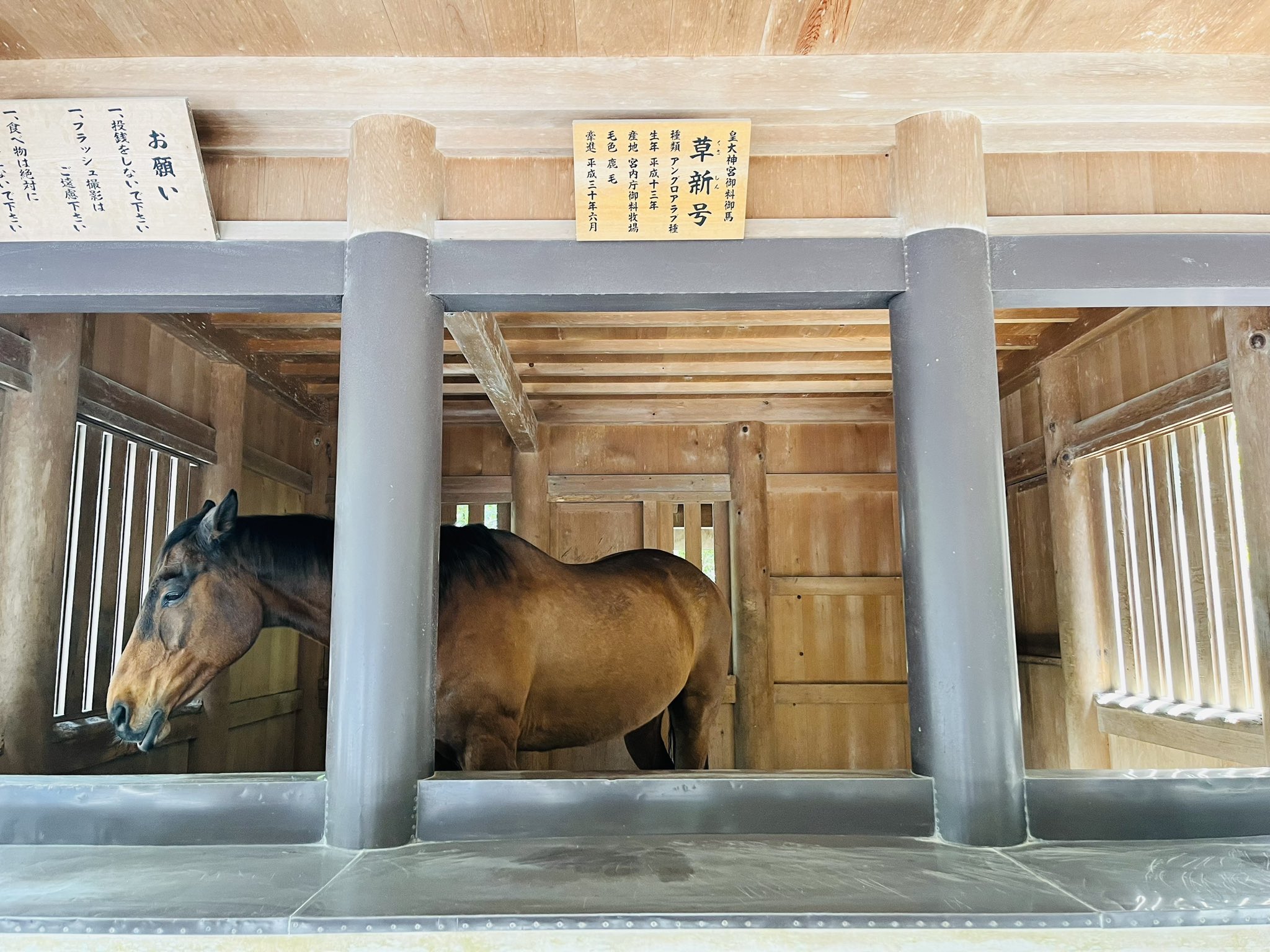 はなっち@Webマーケ・コンサル (@hanacchi_libe) / Twitter