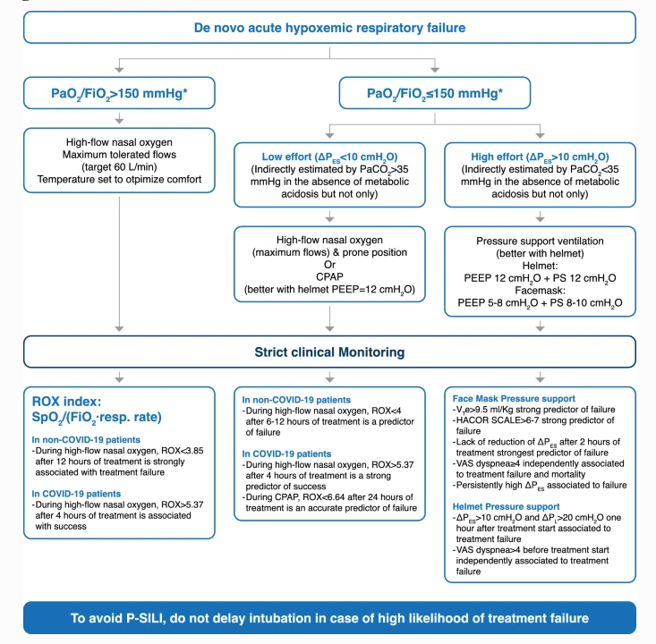 Nursing Acute Respiratory Failure Lightning Learning: AHRF / Type 2