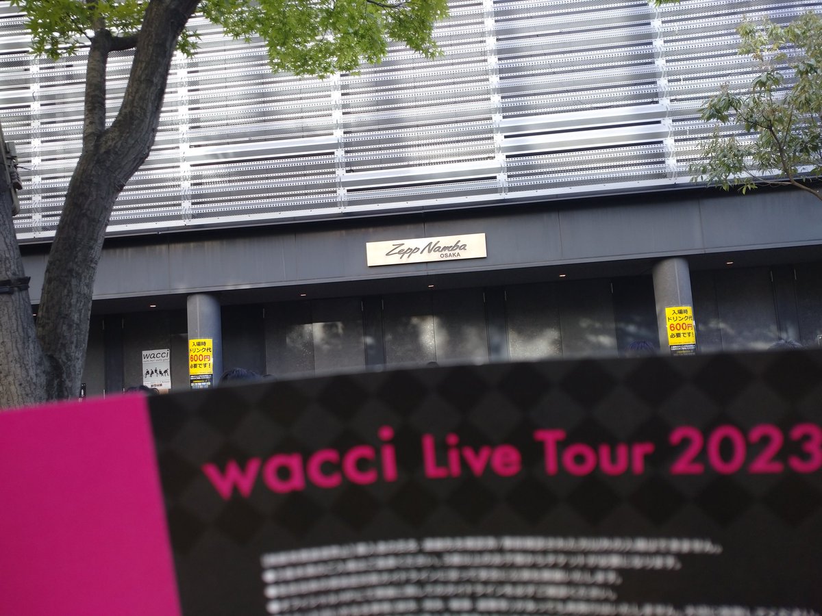 つちこ on Twitter: "#wacci ライブめっちゃ楽しかった〜😆やっぱり声出せるのいいな ピクチャーチケットかっこいい！ 友達のお陰で間近で店長の🎸パフォーマンス見れた😍めっさか ...
