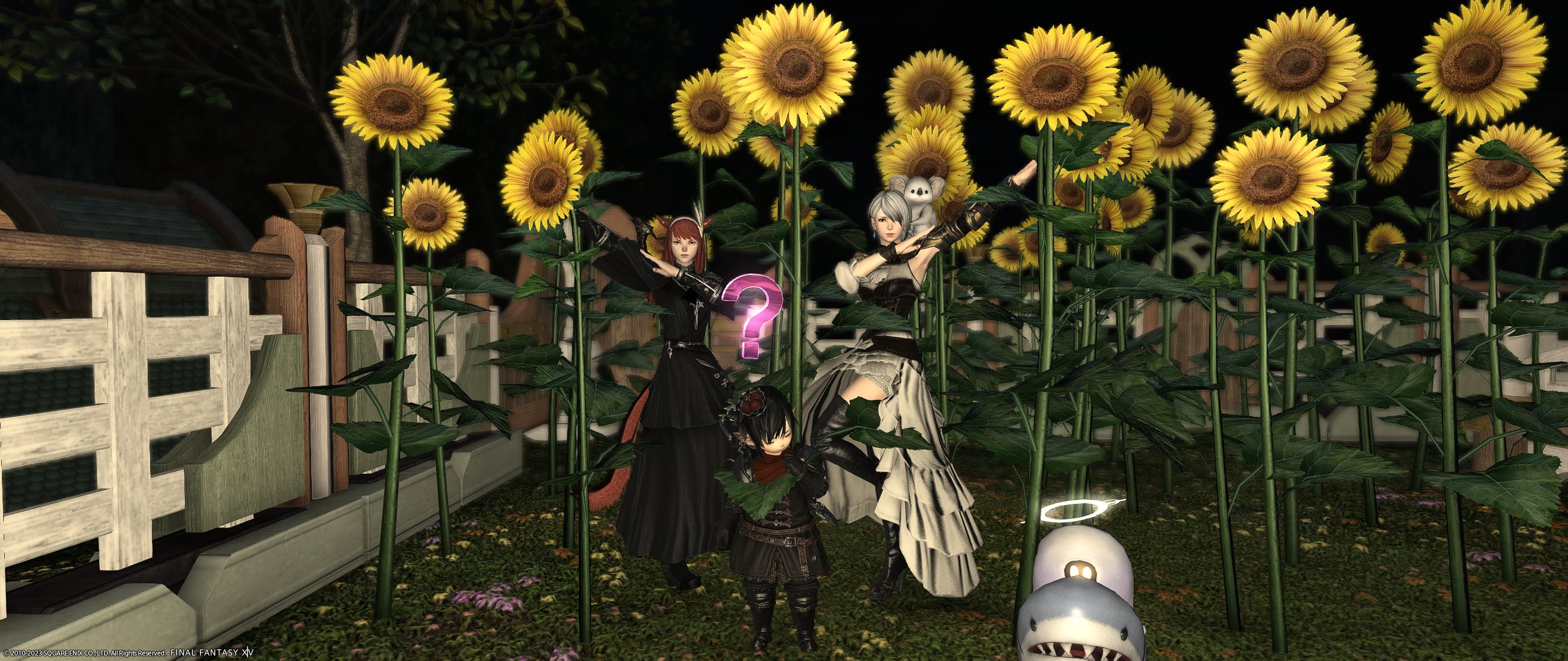 ゆちゃ＠EE/SE (@ff14_Yucha) / Twitter