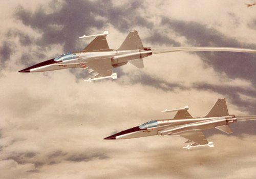 もびうす on Twitter: "デカ翼F-5だ！コワイ！"