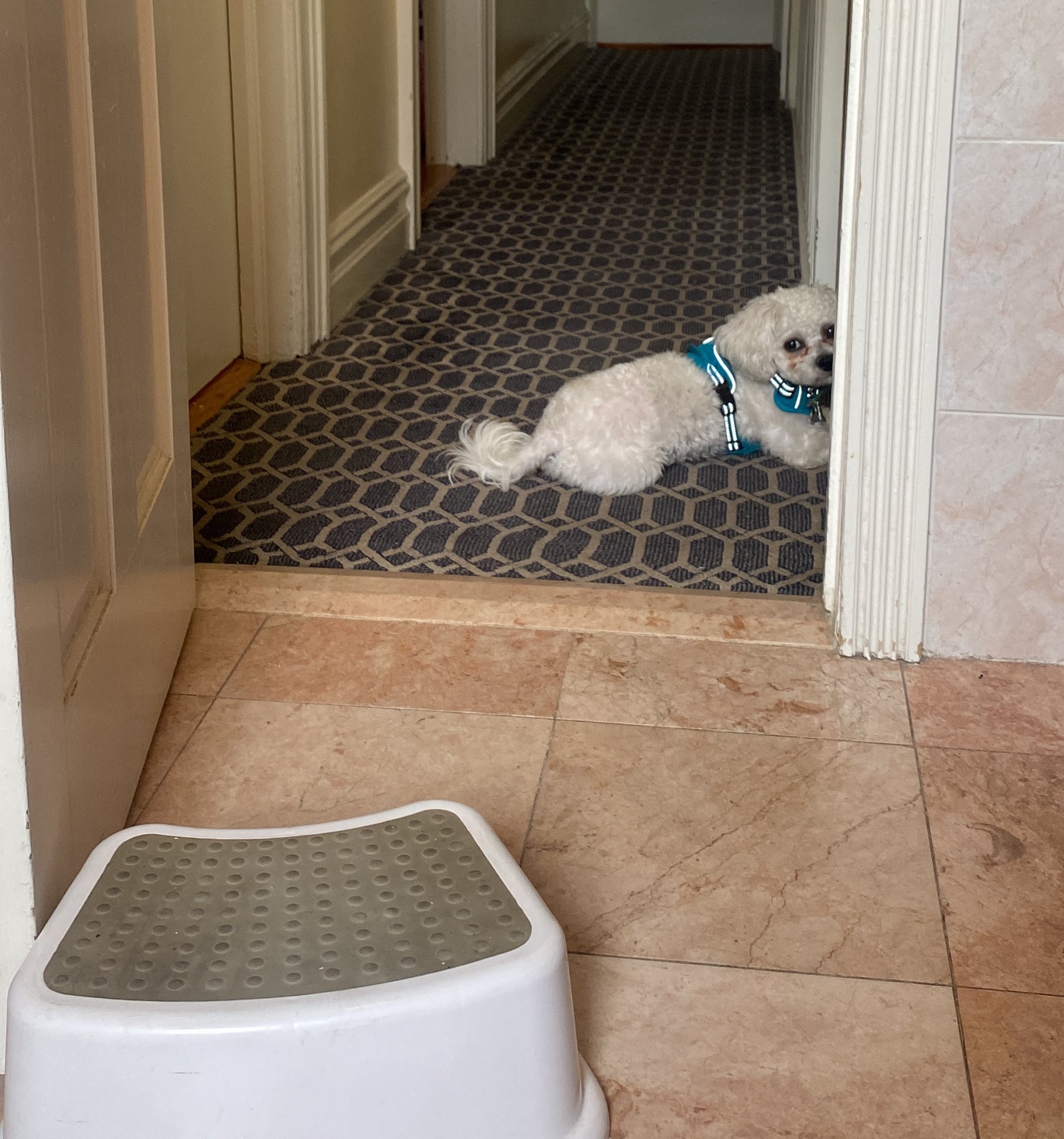 Shulim Leifer 🇺🇦 on Twitter: "Addendum: https://t.co/gNWqkZmYfe" / Twitter