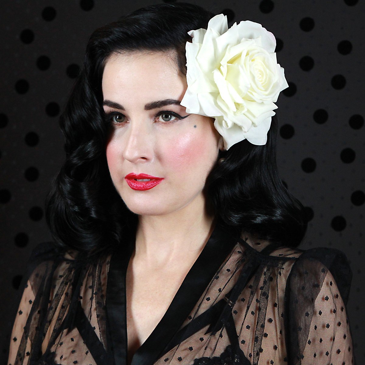 Redandlegs πΊπ¦ On Twitter Rt Zoesfeatherboa Dita Von Teese