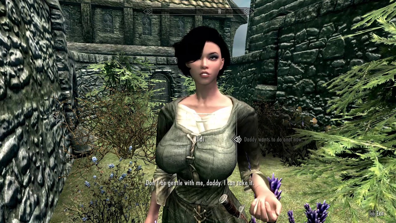 Skyrim SE MOD on Twitter: "【イマージョン/Shadowmans NPCs 33 - Making Illdi Sing -…】吟遊詩人の大学のイルディは講師から評価 ...