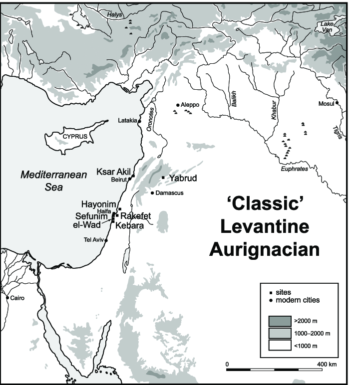 هنالك احتمال كبير أن الإيبيرو-موريسيين قد استمدوا أصولهم الشرق أوسطية ...
