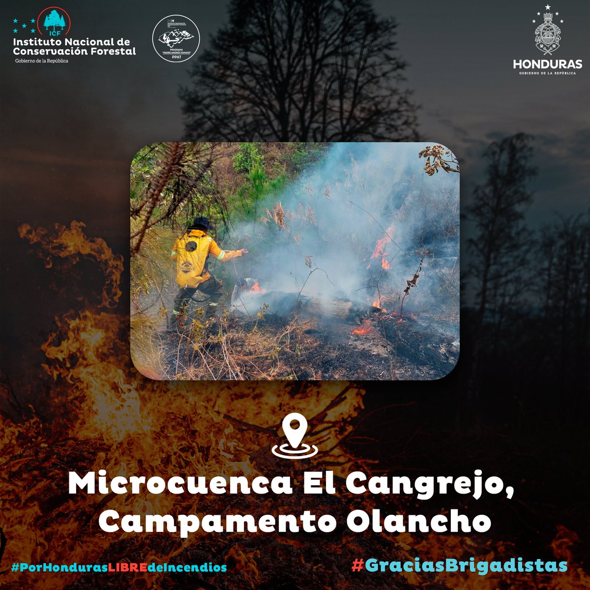 ICF on Twitter: ICF on Twitter: