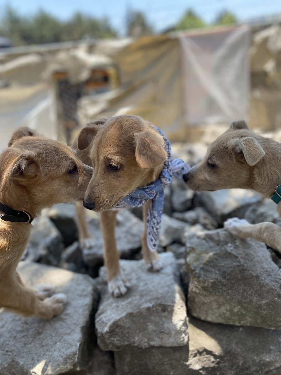 Alina's Threads – Thread Reader App