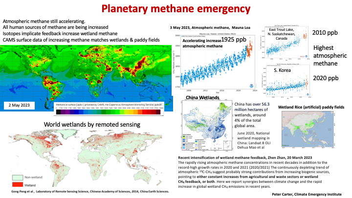 Peter D Carter on Twitter: "PLANETARY METHANE EMERGENCY FEEDBACK Mauna Loa still accelerating ...