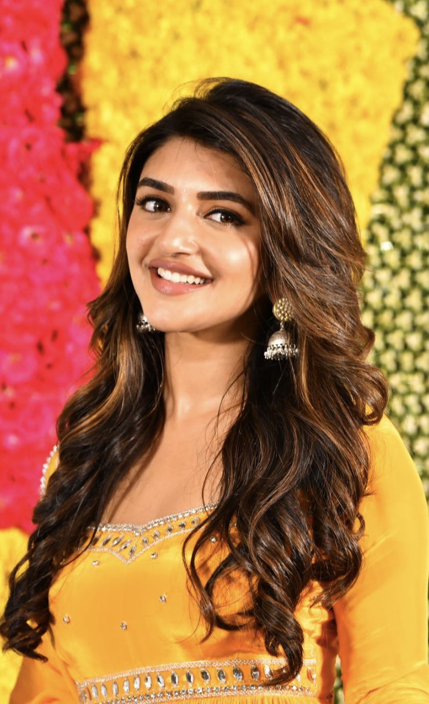 Panjaa Actress