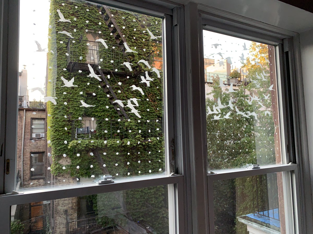 Wild Bird Fund on Twitter: "Make your windows bird-friendly for spring migration! If you have ...