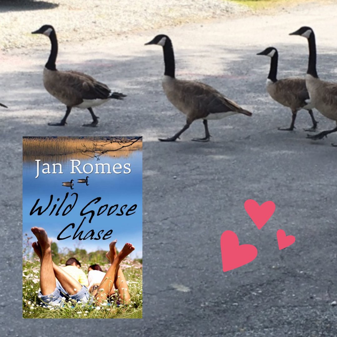 Jan Romes on Twitter: "💕 Love is worth chasing! WILD GOOSE CHASE #romance #roadtrip #humor # ...