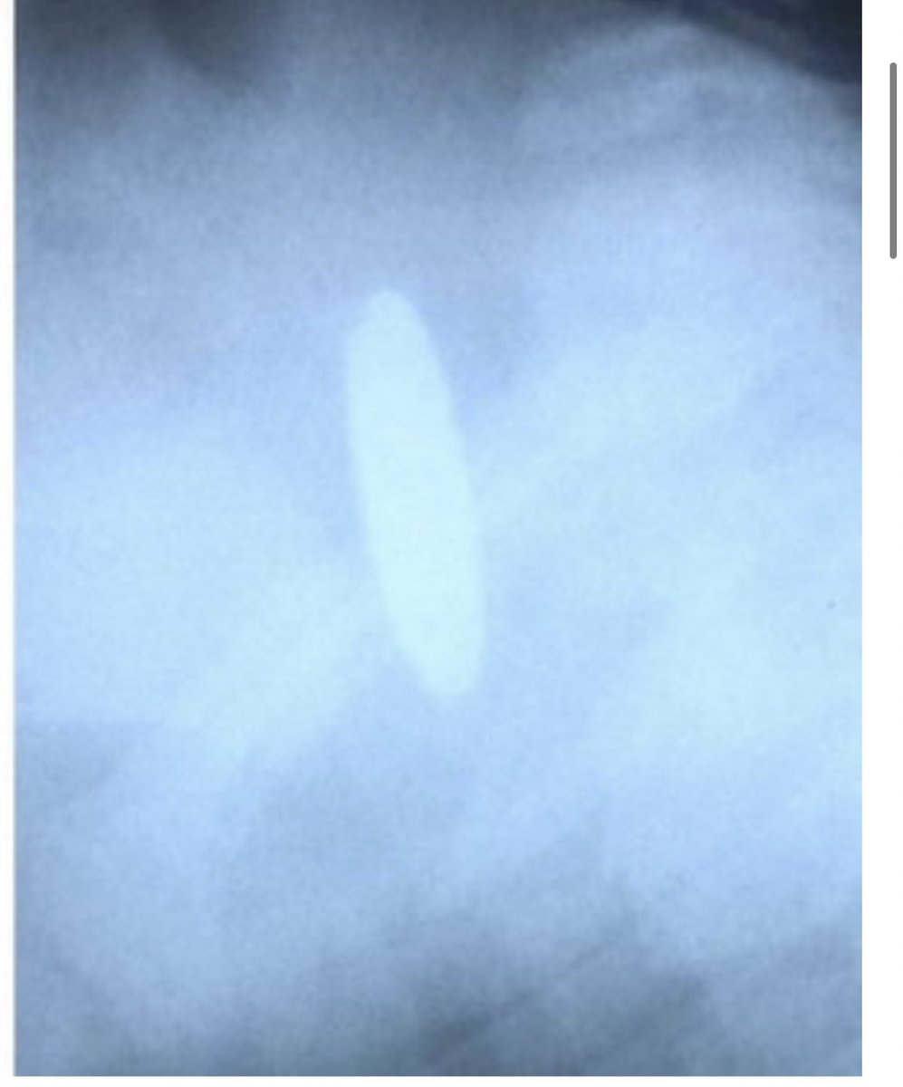 You are a #pedsresident in the Emergency room 👶👶 An anxious mother ...