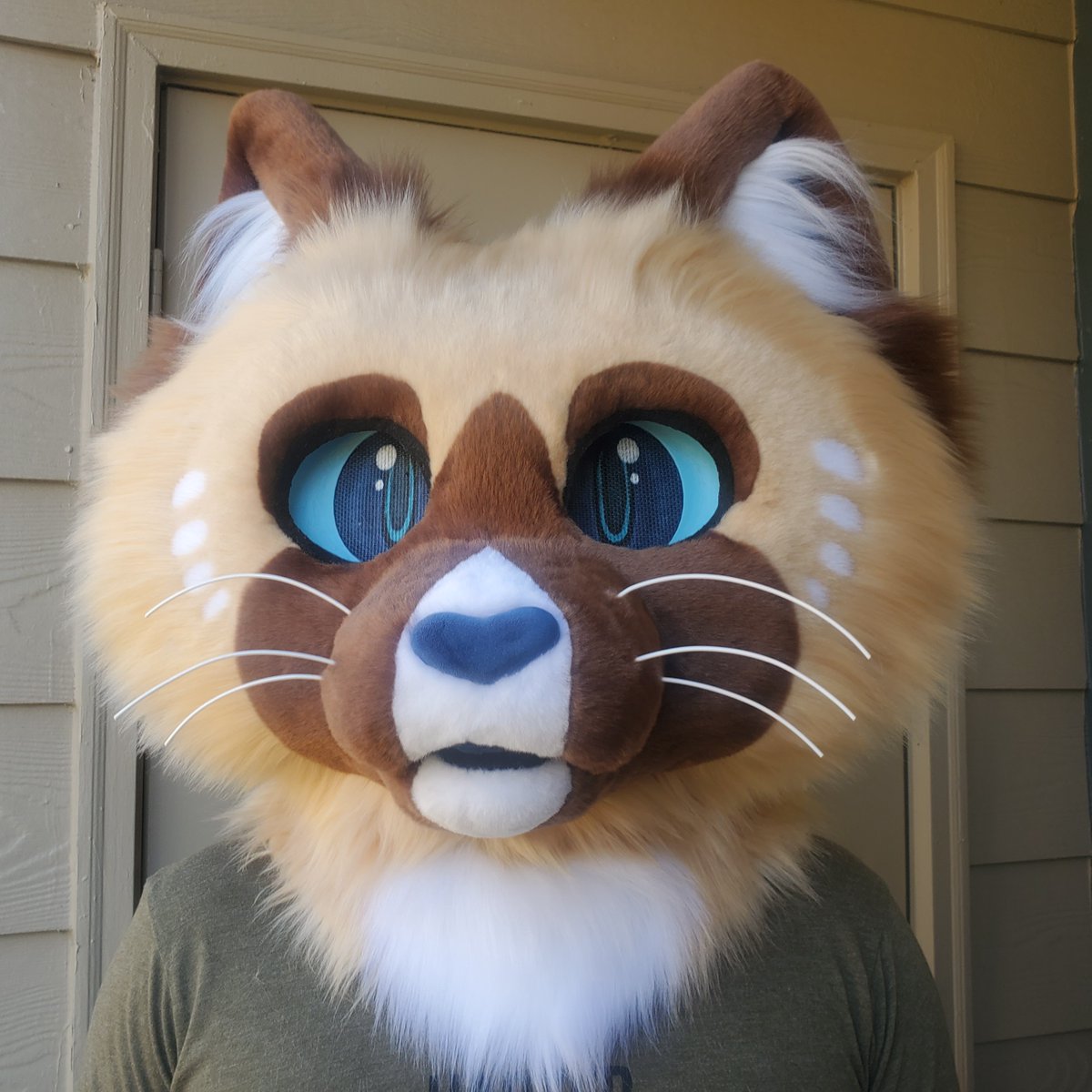 Songdog Studio on Twitter: "This pretty kitty the owner named Oasis was a mini partial I sold at ...