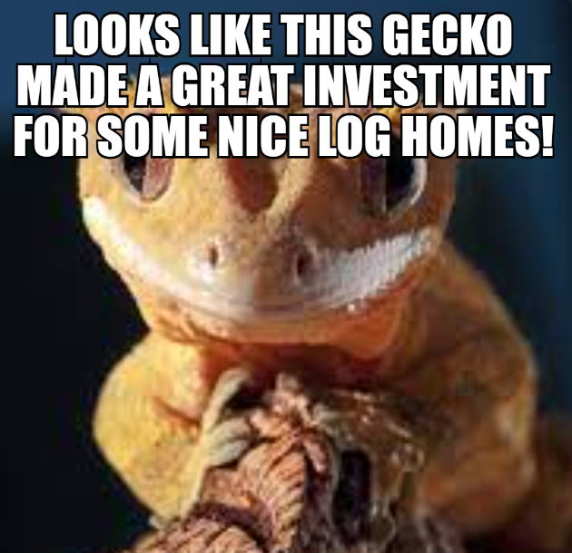 Makarov 🇵🇭 on Twitter: "@geckocoinerc the meme \is alive and eating dips! just hit new ATH again ...