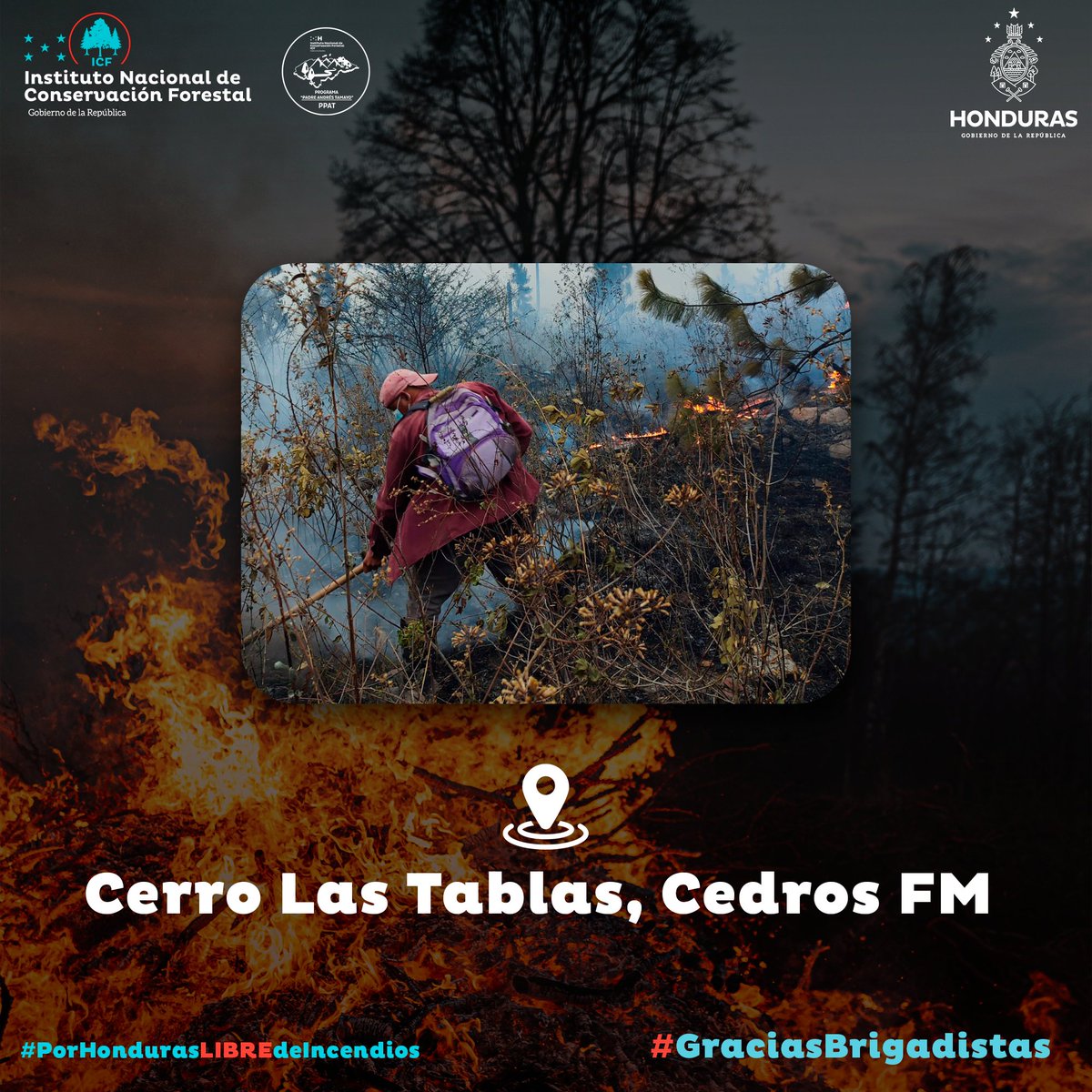 ICF on Twitter: ICF on Twitter:
