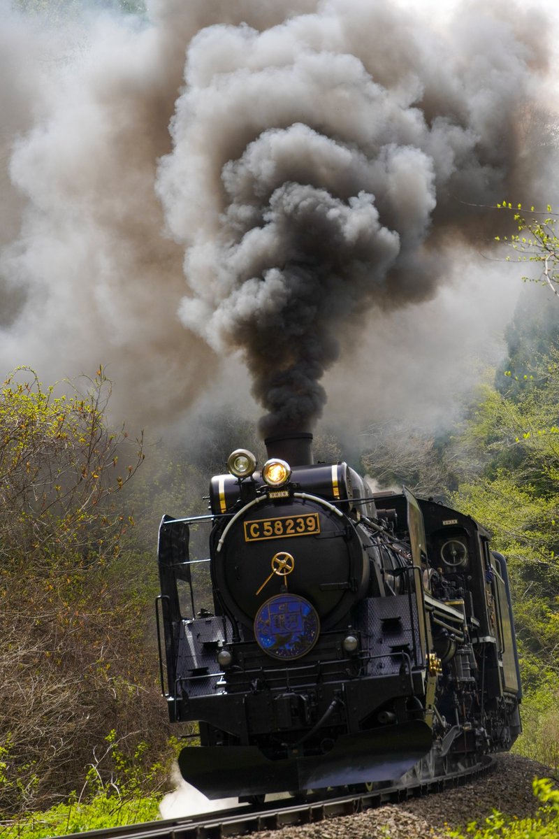 彩奈 Style 2021 on Twitter: "2023年 5月3日 釜石線 各所 8621レ SL銀河 往路 C58 239[盛]+盛モリ キハ141系 午後の部 峠に挑む勇ましい岩手 ...