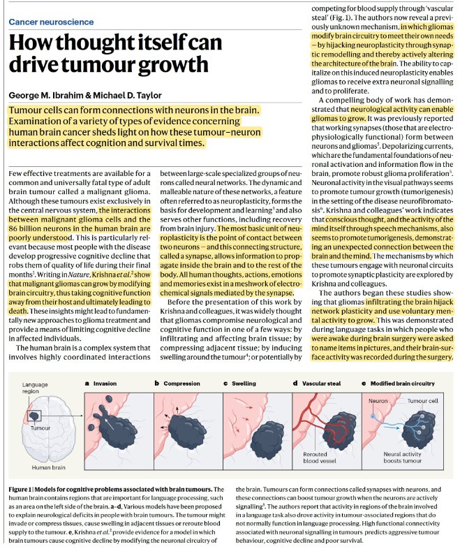 🥼Agingdoc1⭐MD, PhD 🔔 on Twitter: "How thought itself can drive tumour growth 🔗https://t.co ...