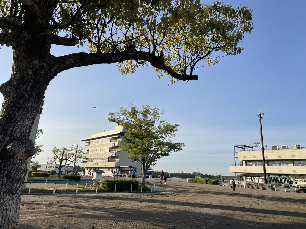 トレセンまるごと情報局【公式】 on Twitter: "春のGIシリーズ！NHKマイルカップ！ 今夜の放送は… 初回放送5月4日23時〜24時他 ⚱️まるごとチェック NHKマイルカップ 🏺 ...