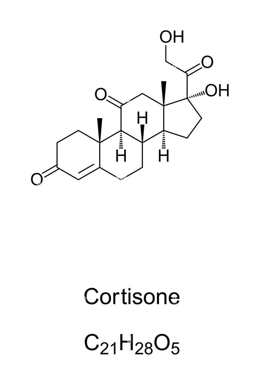 En 1950, Tadeusz Reichstein, Edward Kendall y P. Showalter Hench recibieron el Nobel de Medicina ...