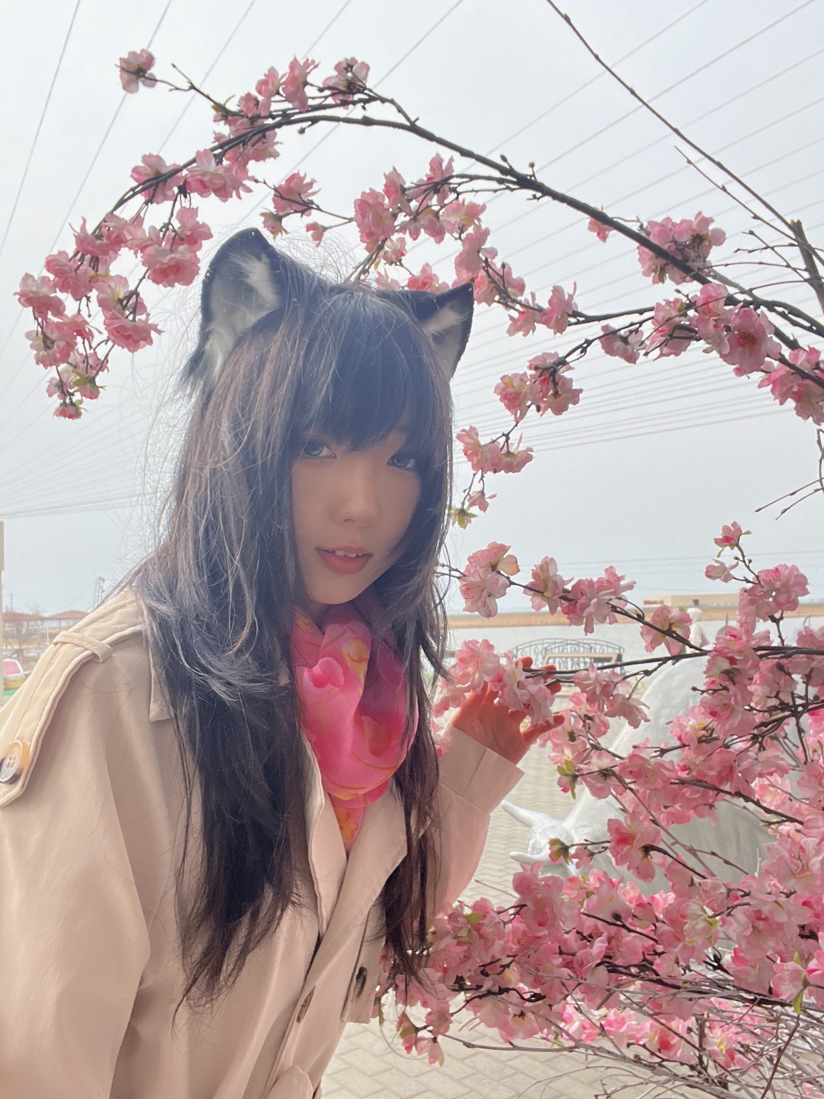 Akai_Ryoka (@akai_ryoka) / Twitter