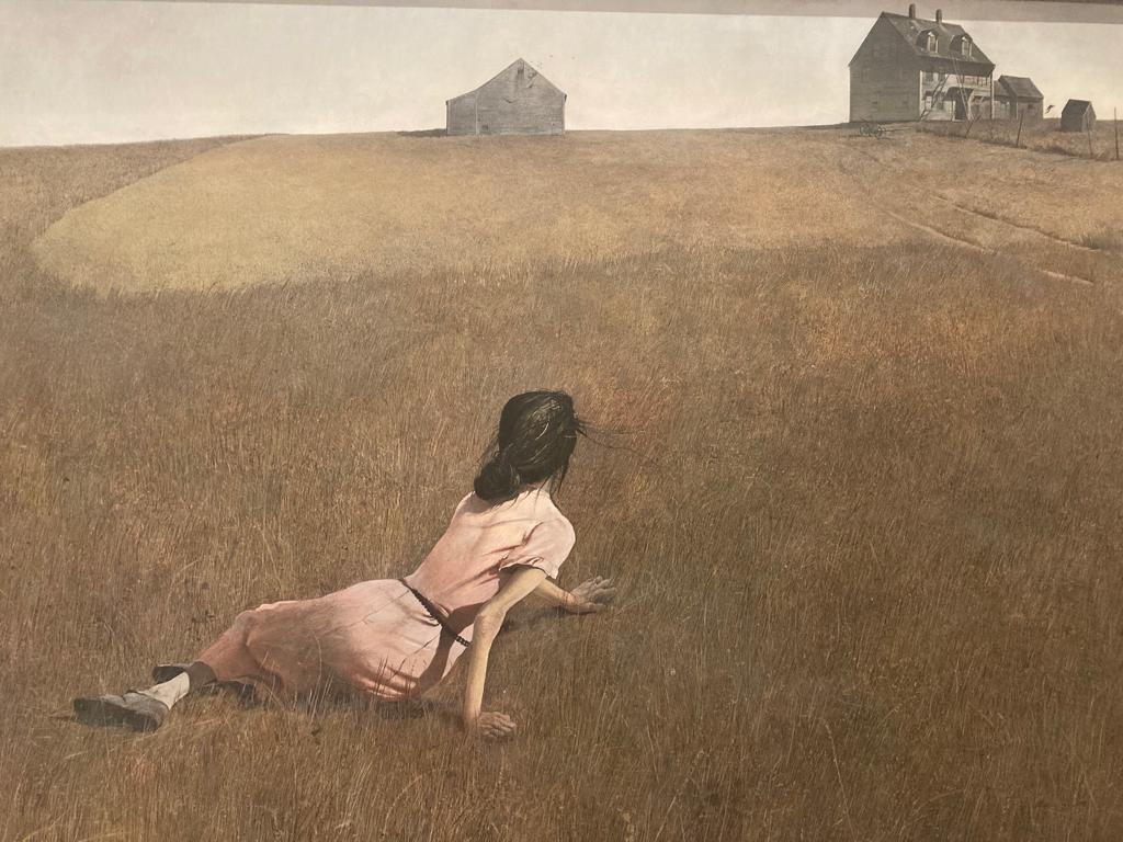 Anna Christina Olson Andrew Wyeth A História De Anna Christina Olson