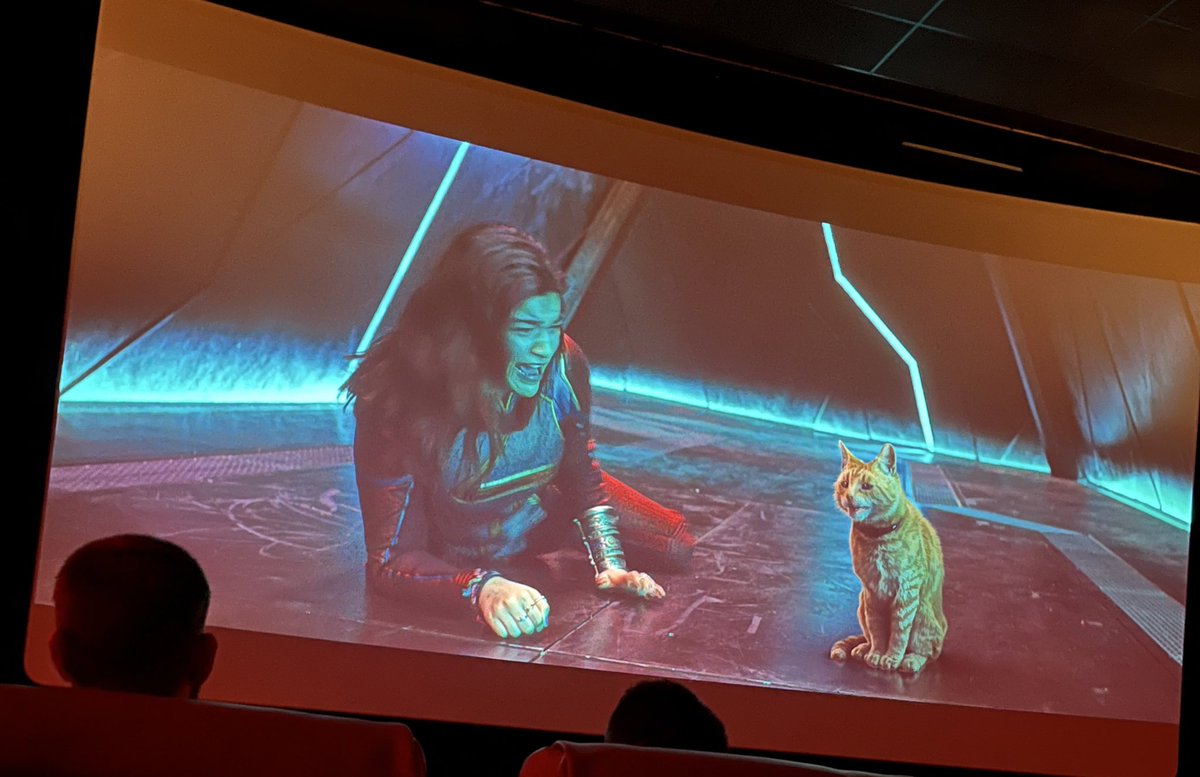 jake! | 4 days 🎂 on Twitter: "seeing the marvels trailers on the big screen was a religious ...