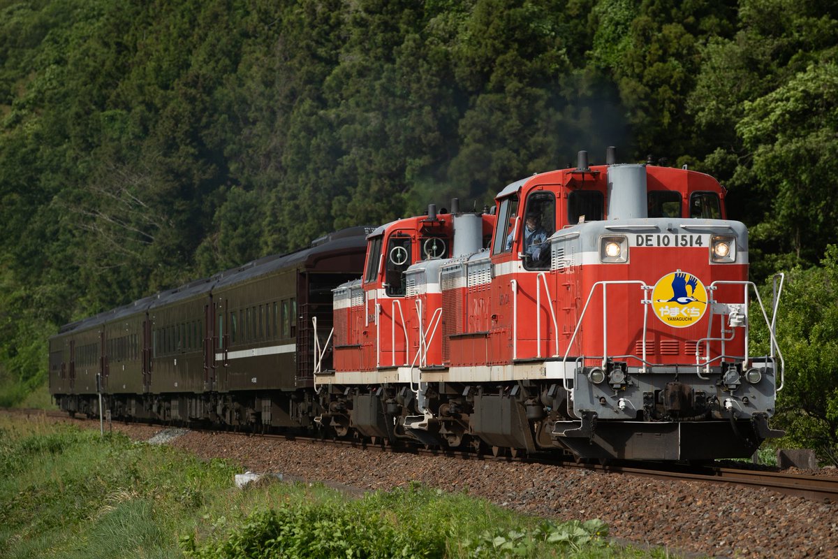 えくぼ on Twitter: "2023.5.5 DLやまぐち 8522ﾚ DE10 1514+1531+35系5B あのクソ予報からの大逆転!"