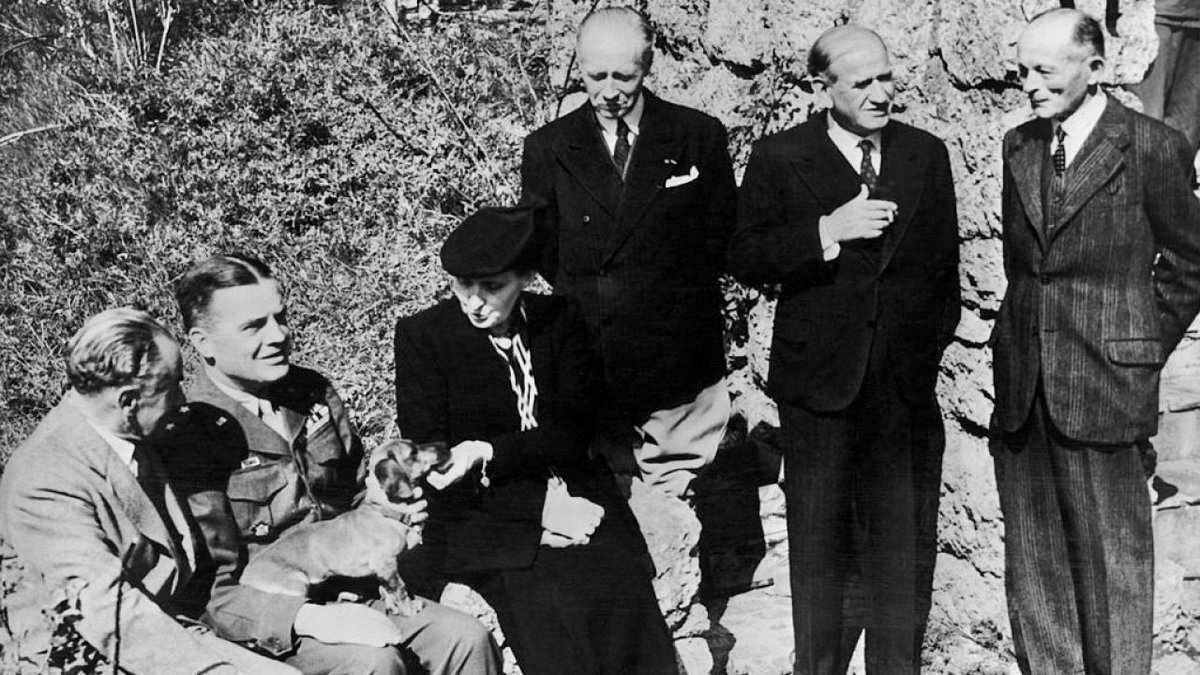 Thread by @JozefKasprowicz on Thread Reader App – Thread Reader App