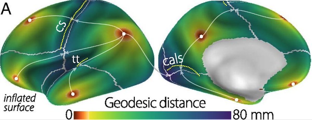 Aaron Boes's Threads – Thread Reader App