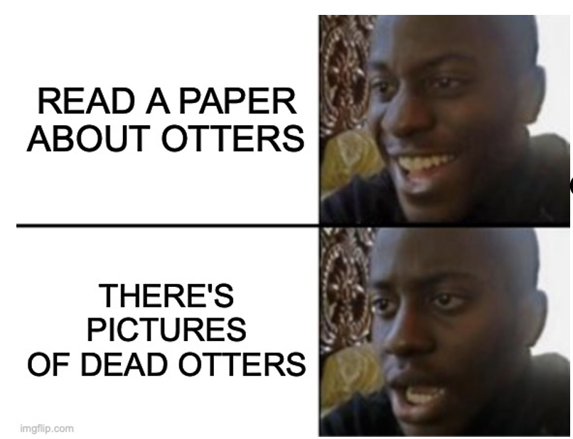 Disappointed Black Guy Memes DISAPPOINTED BLCK GUY (part 1)