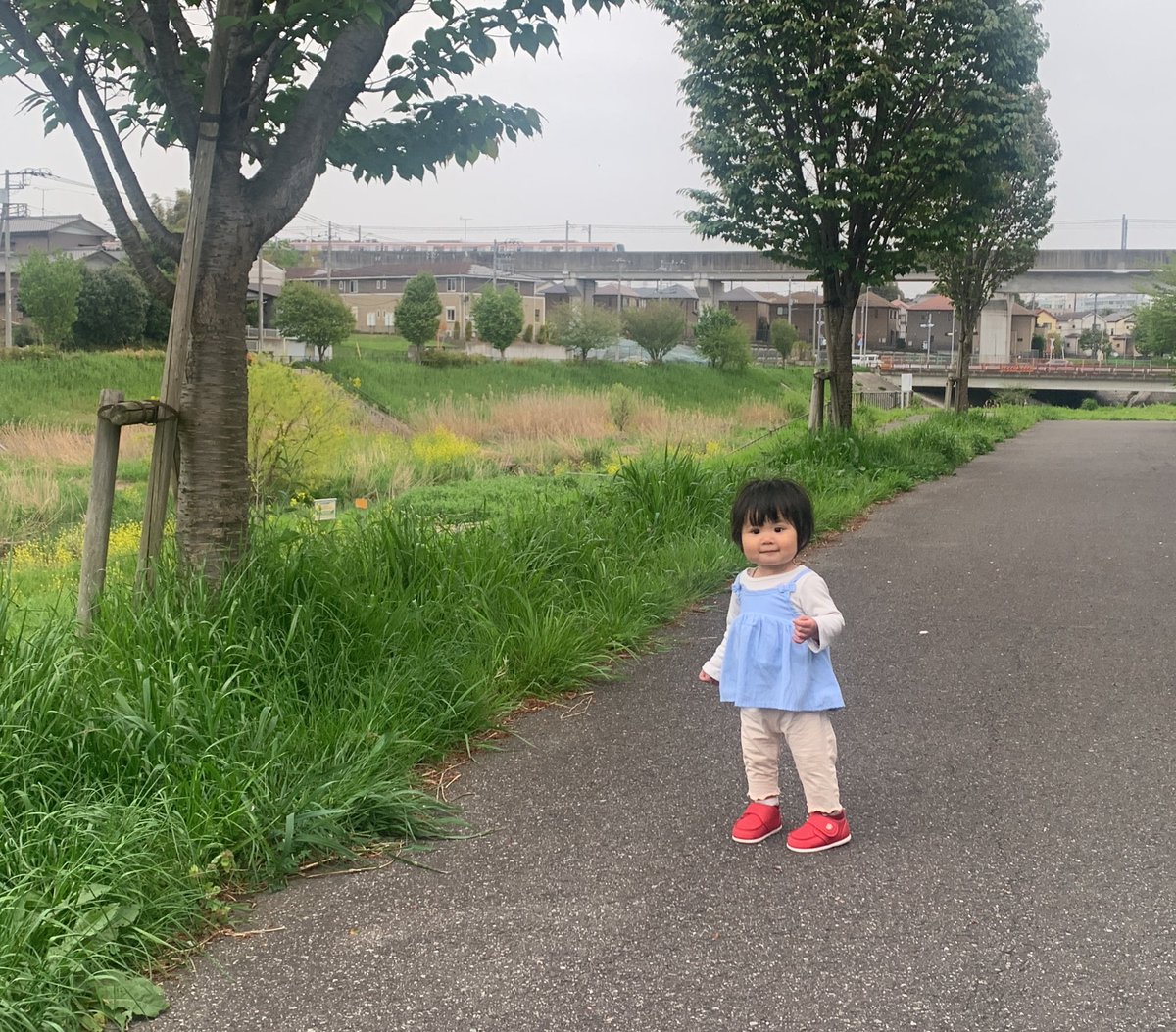 ビー On Twitter ちゃみこ、だいぶ歩けるようになった。