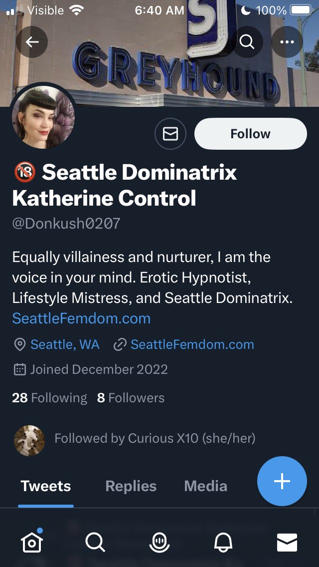 🔞 Seattle Dominatrix Katherine Control on Twitter: "So apparently new @Twitter has different ...