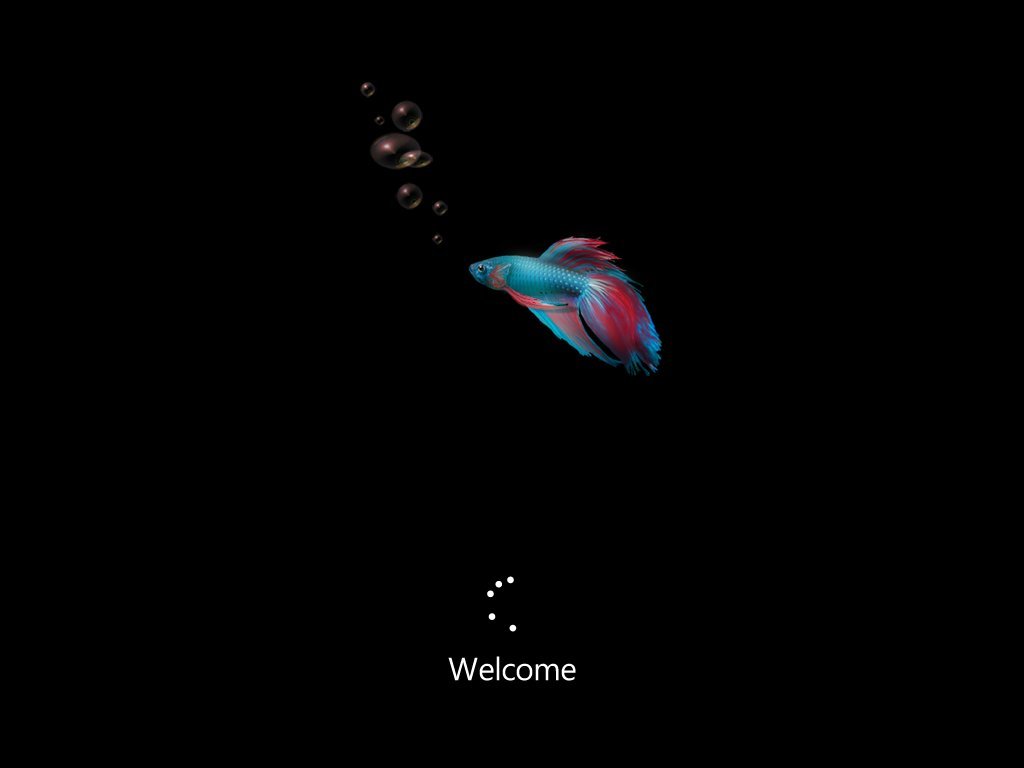 Fish Wallpaper Windows 8 Hd