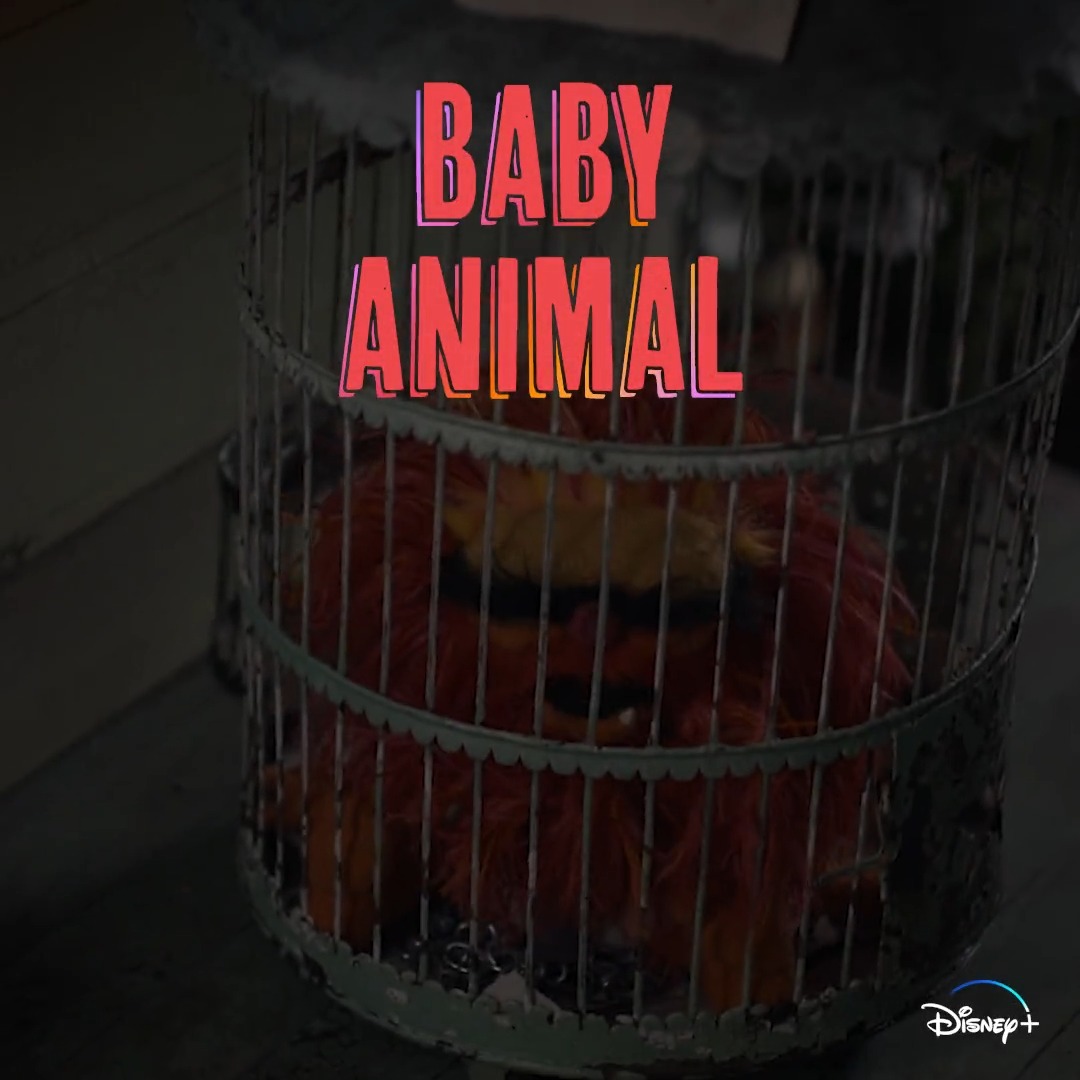 Muppets Animal Baby