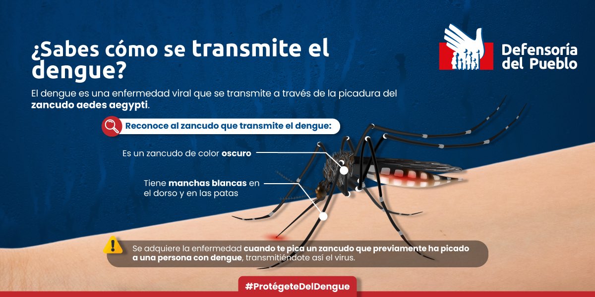 Defensoría Perú on Twitter: "#ProtégeteDelDengue Los casos de #dengue en el Perú se están ...