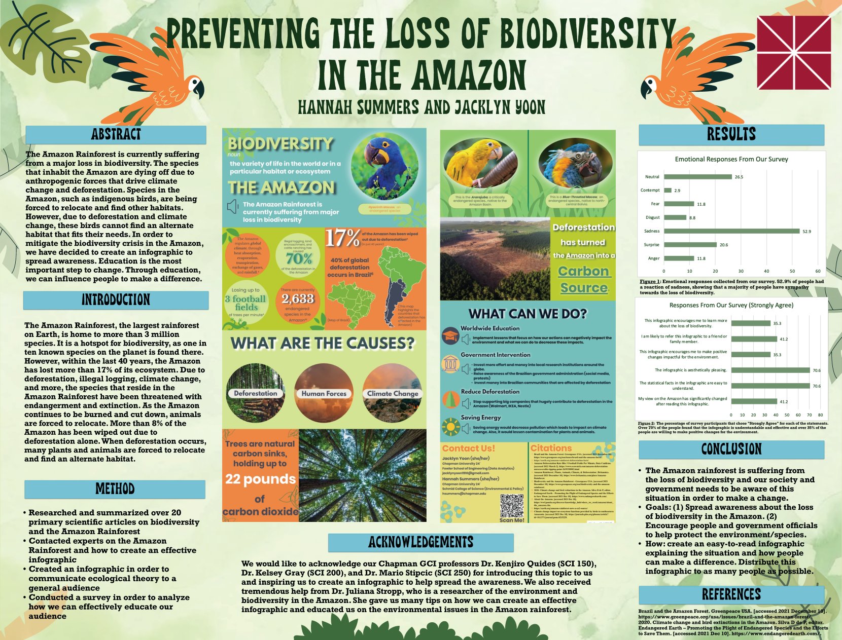 Biodiversity Rainforest