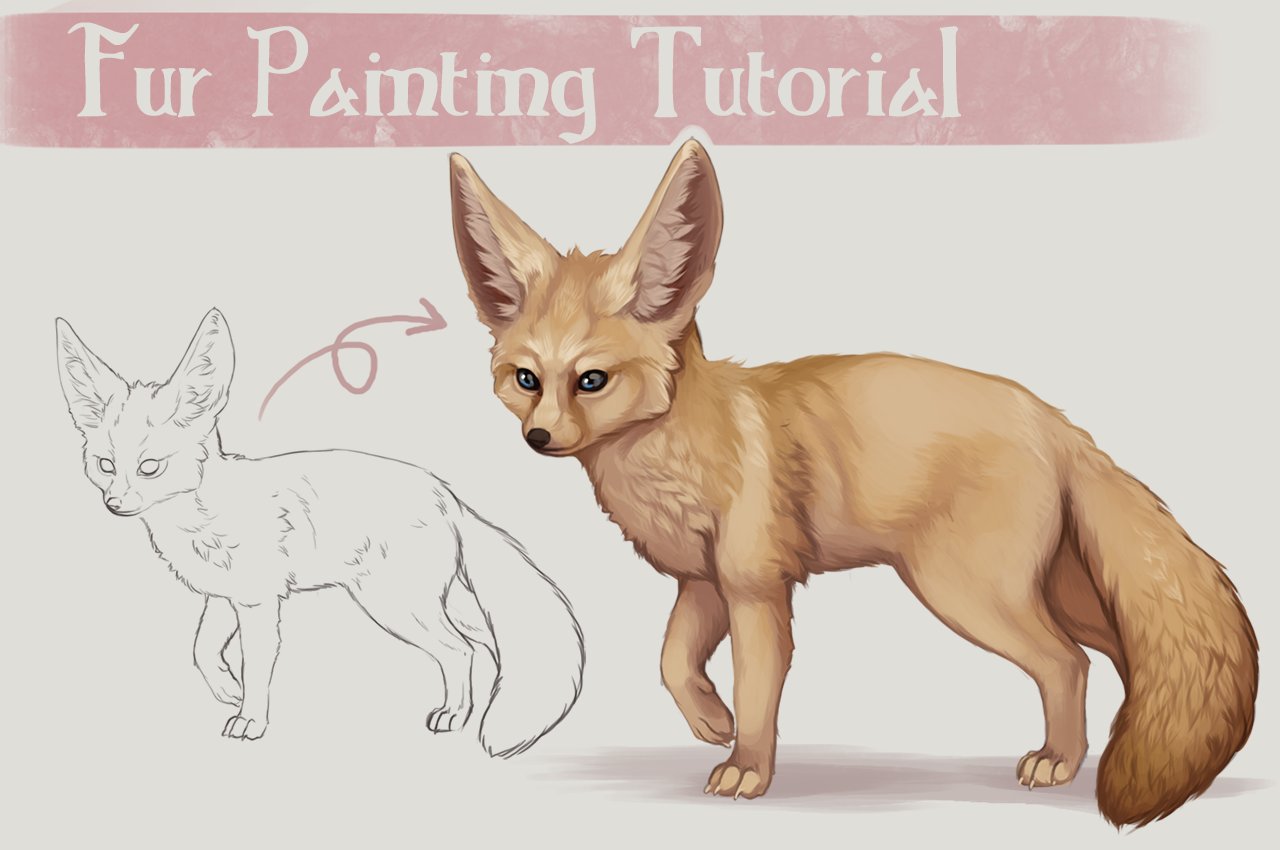 Fennec Fox Drawing Tutorial