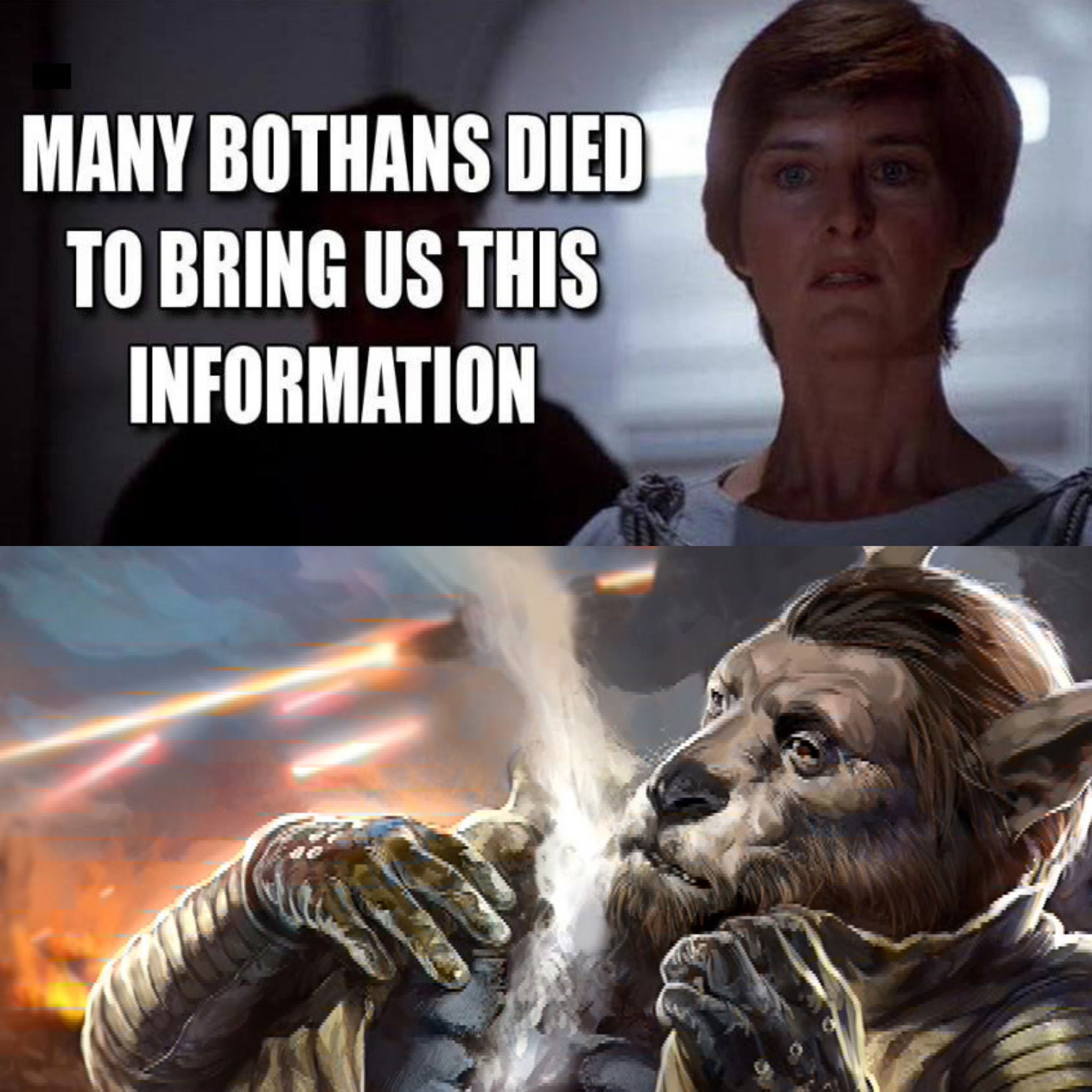 Many Bothans Died Meme