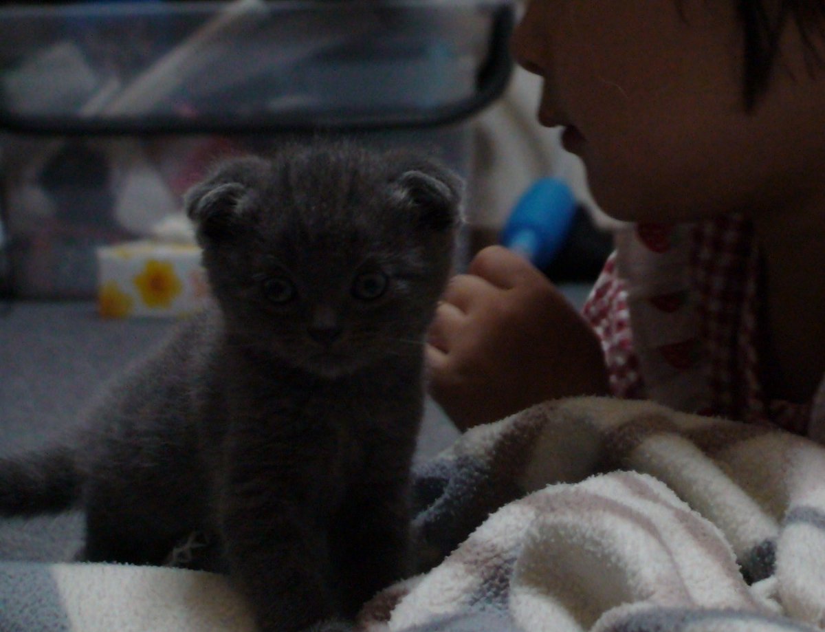 りん@12月前半出勤なし！(@R1n__n1) さんの裏垢画像・動画 – 裏垢女子ランキングナビ