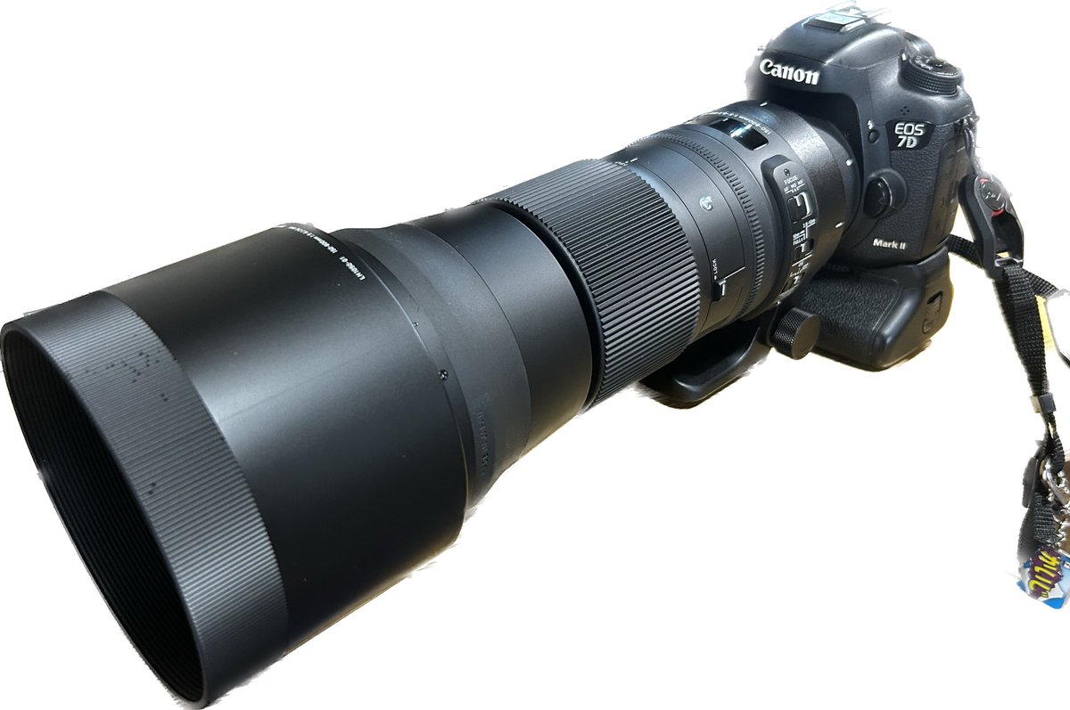 毒 on Twitter: "超望遠デビュー 150-600C買いましたかっこいい"