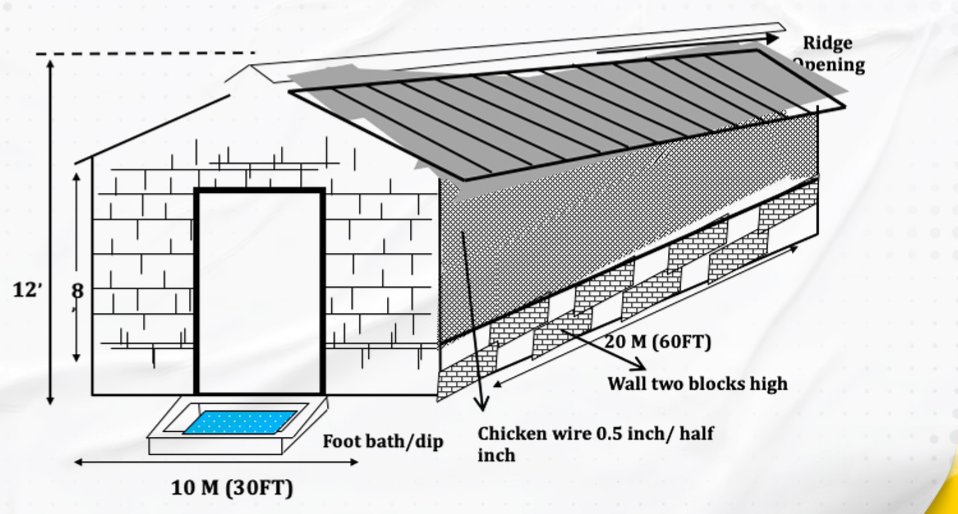 Broiler House Construction Plans