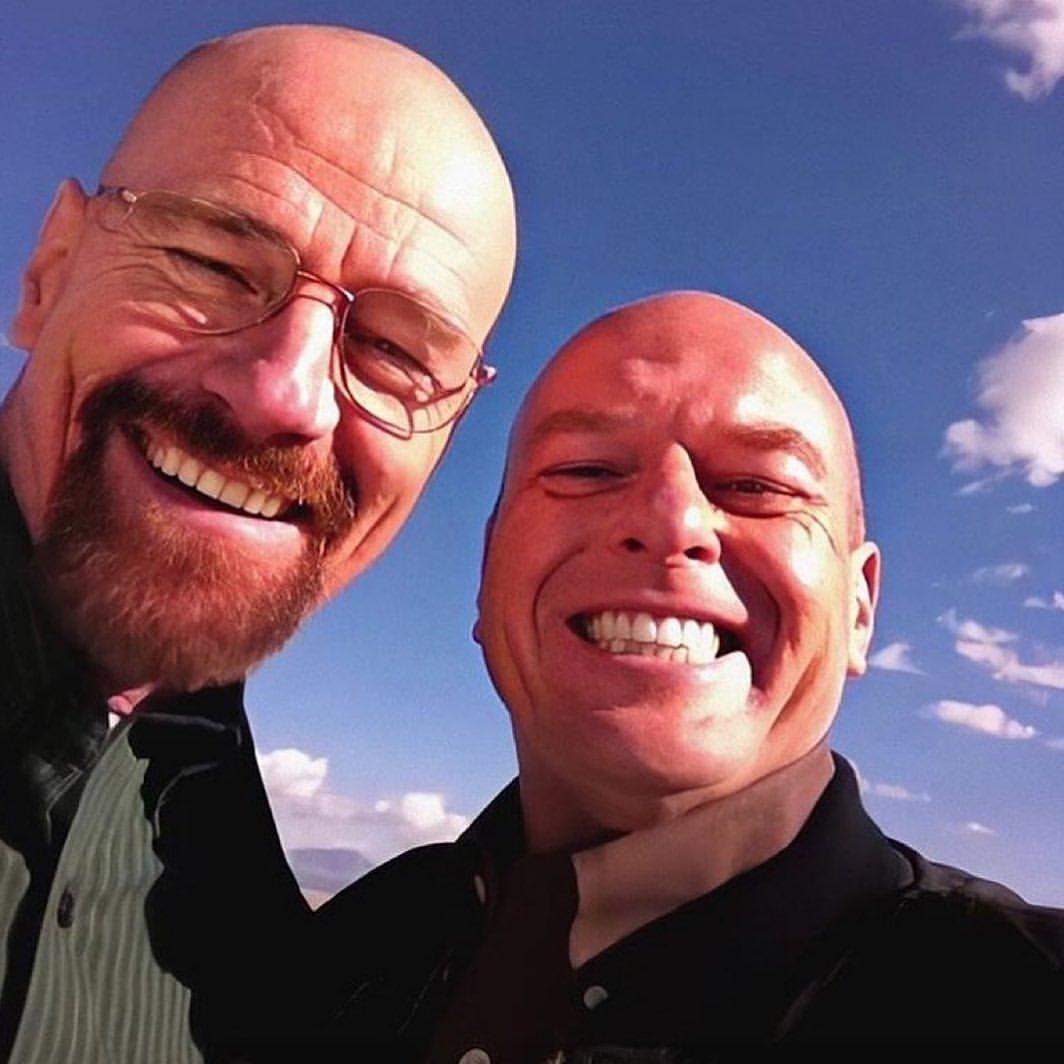 Pablo Jiménez Quintanilla on Twitter: "@breaking_frames Hank: He won't Walter: *Gets away with ...