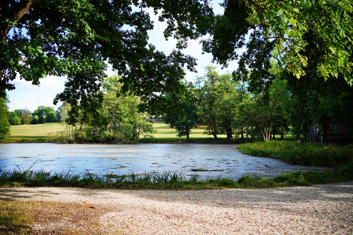 Björn Piske on Twitter: "RT @jm_sport: お城で一日！A day at the castle! 🏰🎬🌿 #photography #castle # ...