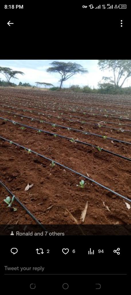 FARMING LESSON! IRRIGATION: Irrigation is the process of watering crops ...